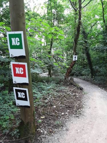 Bike park with XC tracks, trails, jumps, tables, gaps and berms for all ...